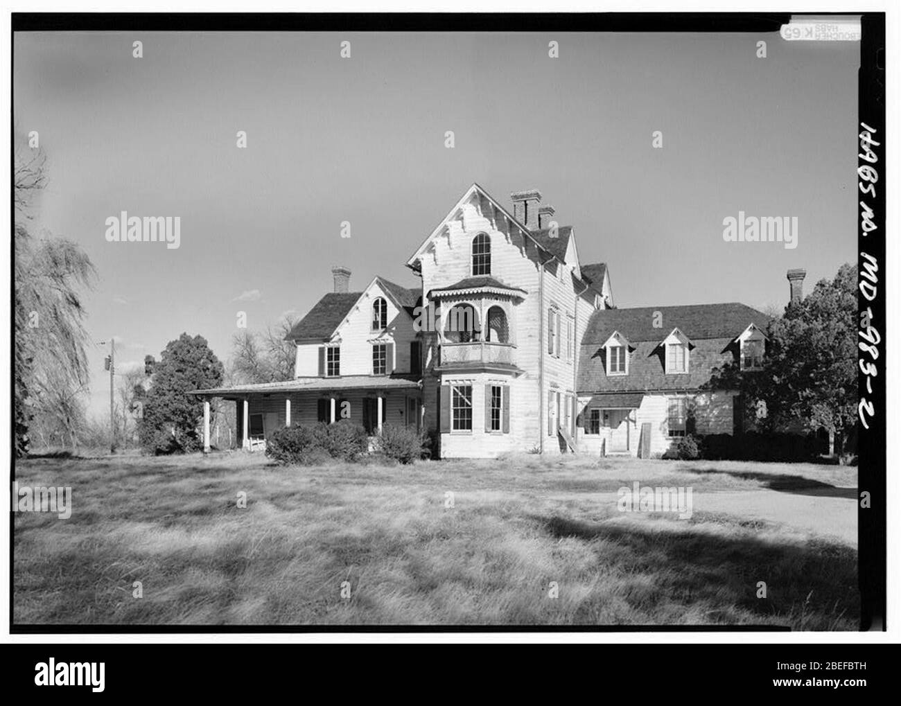 Hazelwood Cut Out Stock Images & Pictures - Alamy