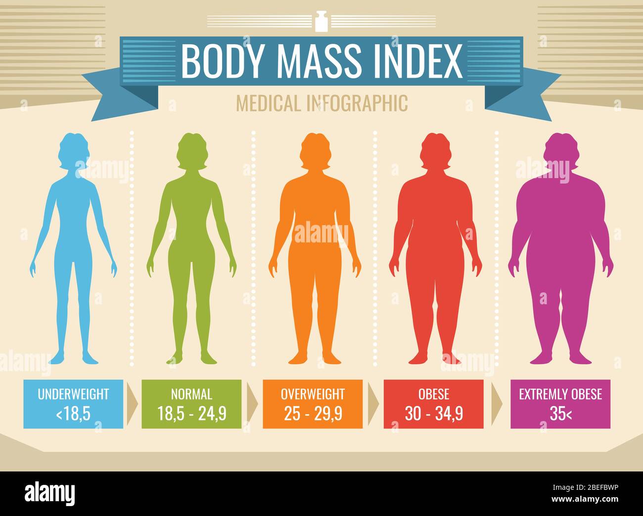 Woman Body Mass Index Vector Medical Infographic Body Mass Index