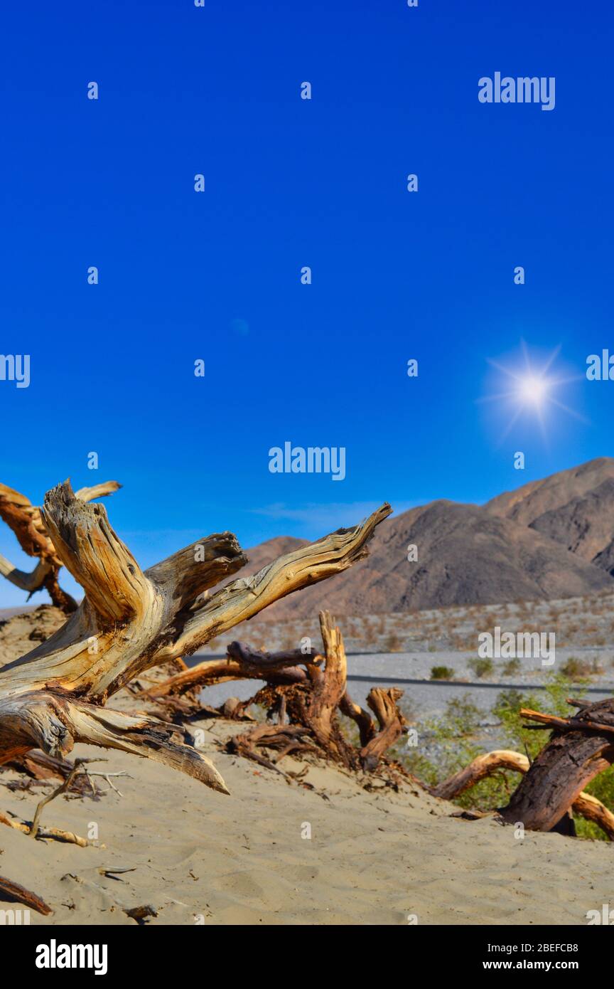 Scorching hot sun hi-res stock photography and images - Alamy