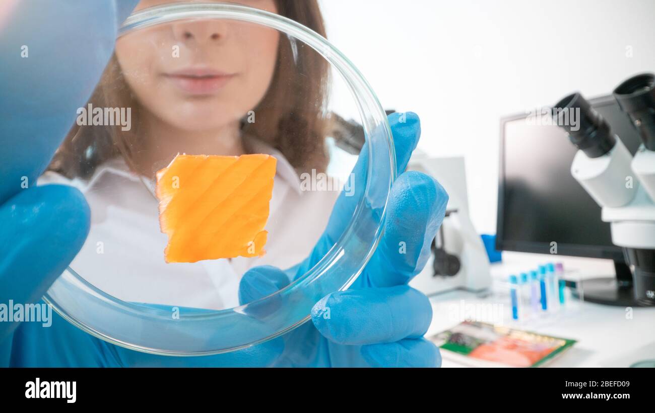 Inspection of meat and fish quality in the food quality laboratory ...