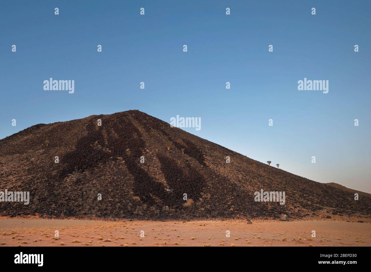 Black rock kopje with quiver trees Stock Photo - Alamy