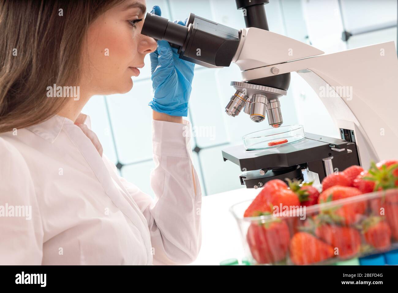 Quality inspection of agricultural food products. Checking the content ...