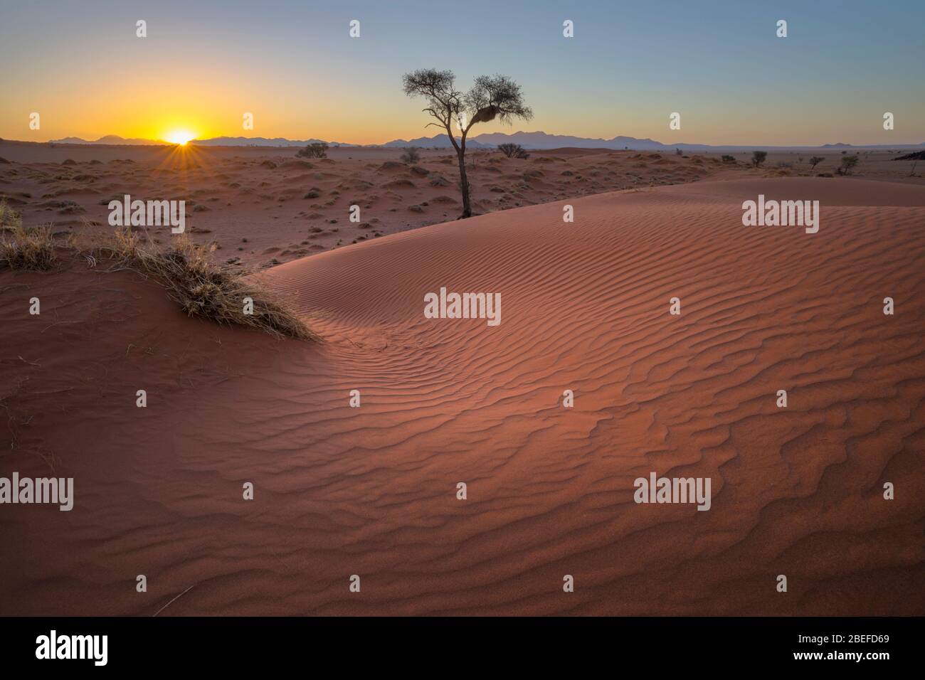 Sunset at the Kalahari sand dunes Stock Photo - Alamy