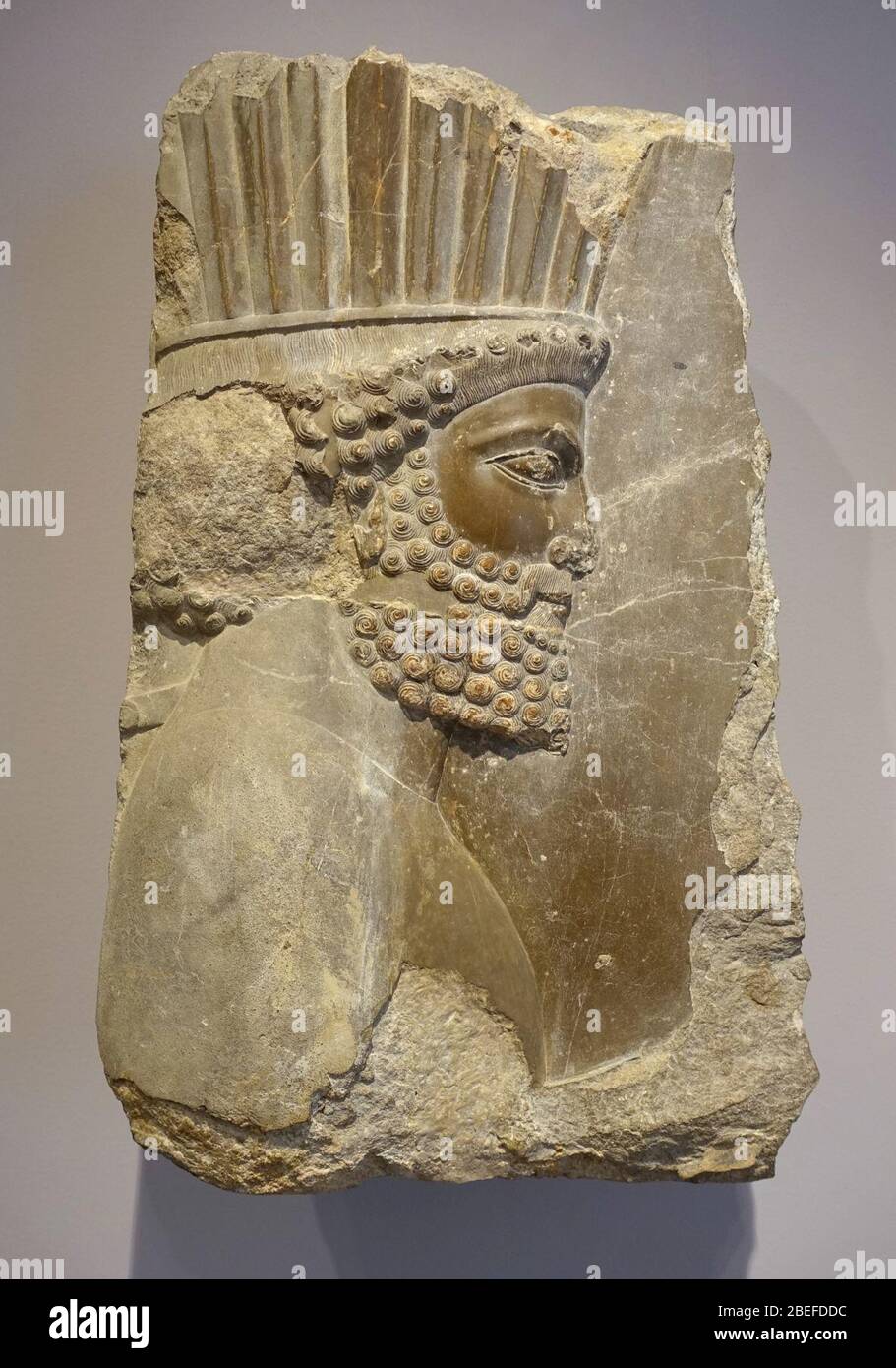 Head of an archer of the royal guard, 1 of 2, from the Palace of Xerxes ...
