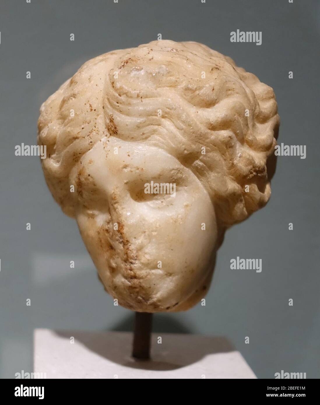 Amazon head argos hi-res stock photography and images - Alamy