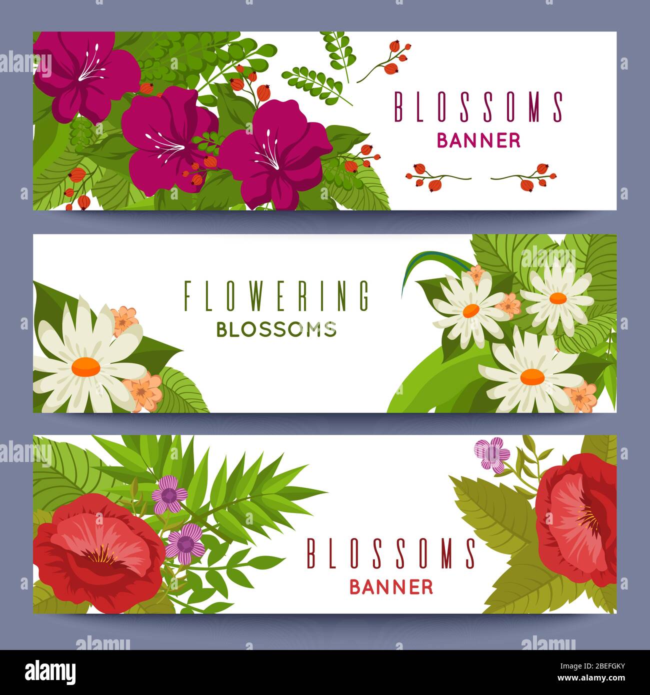 Packaging template flower hi-res stock photography and images - Alamy