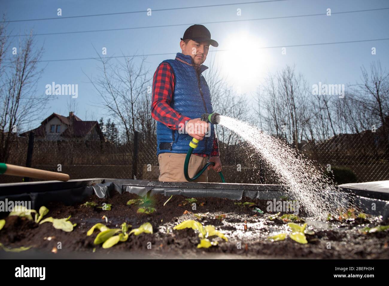 Young man plant a small tree in the garden. Small plantation for a ...