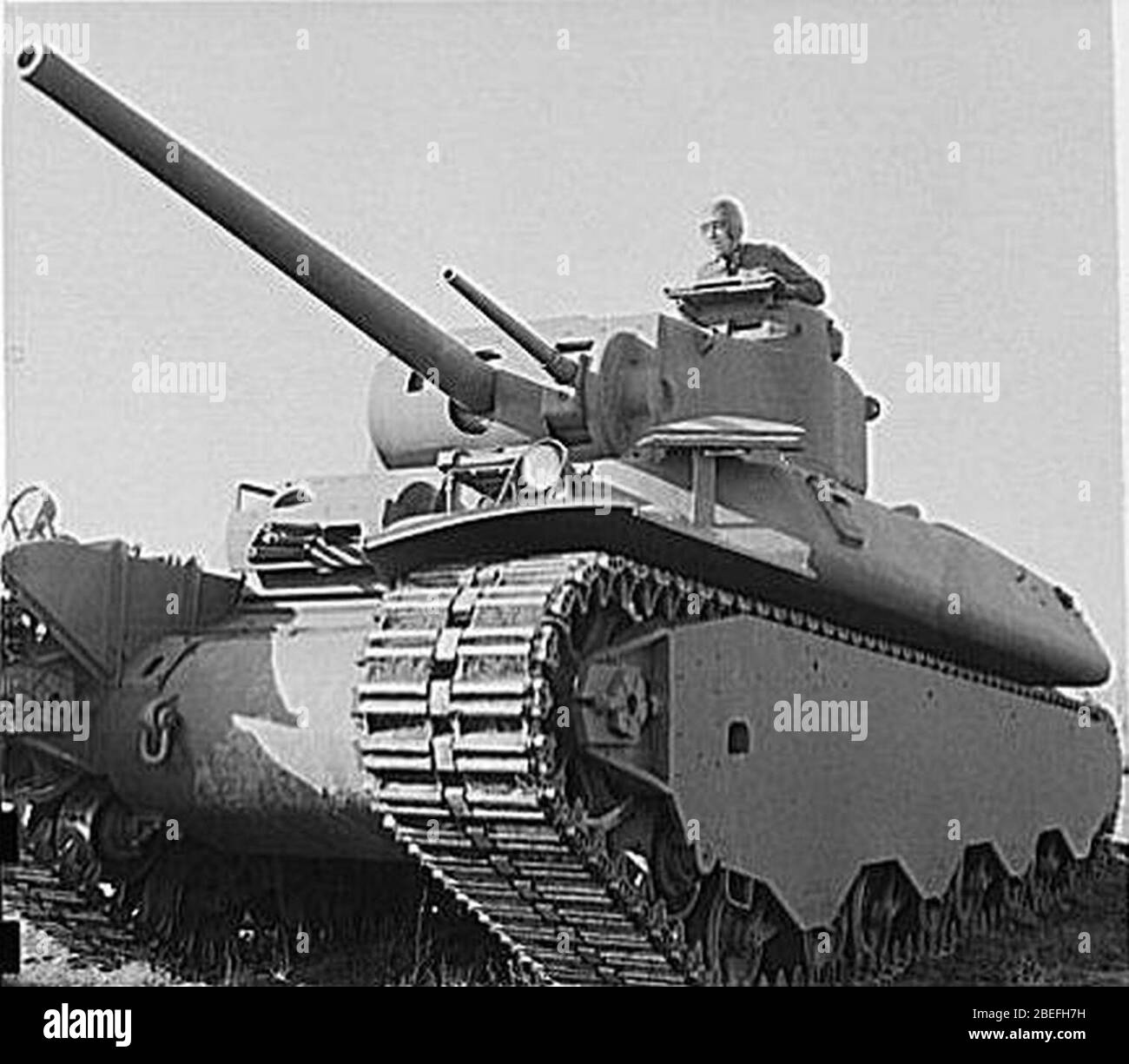 Owi hi-res stock photography and images - Alamy