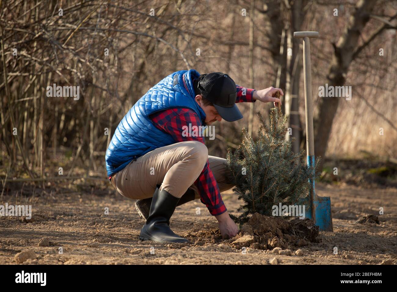 Young man plant a small tree in the garden. Small plantation for a ...