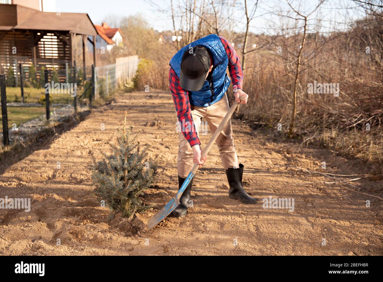 Young man plant a small tree in the garden. Small plantation for a ...