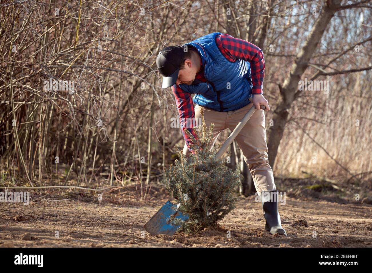 Young man plant a small tree in the garden. Small plantation for a ...