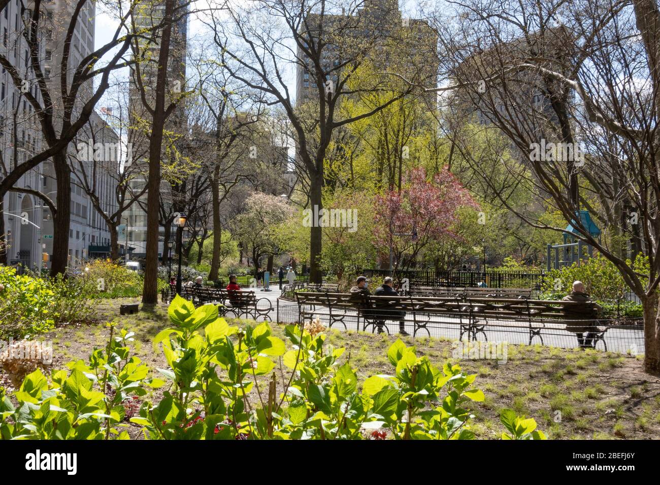 Park of arboretum and benches hi-res stock photography and images - Alamy