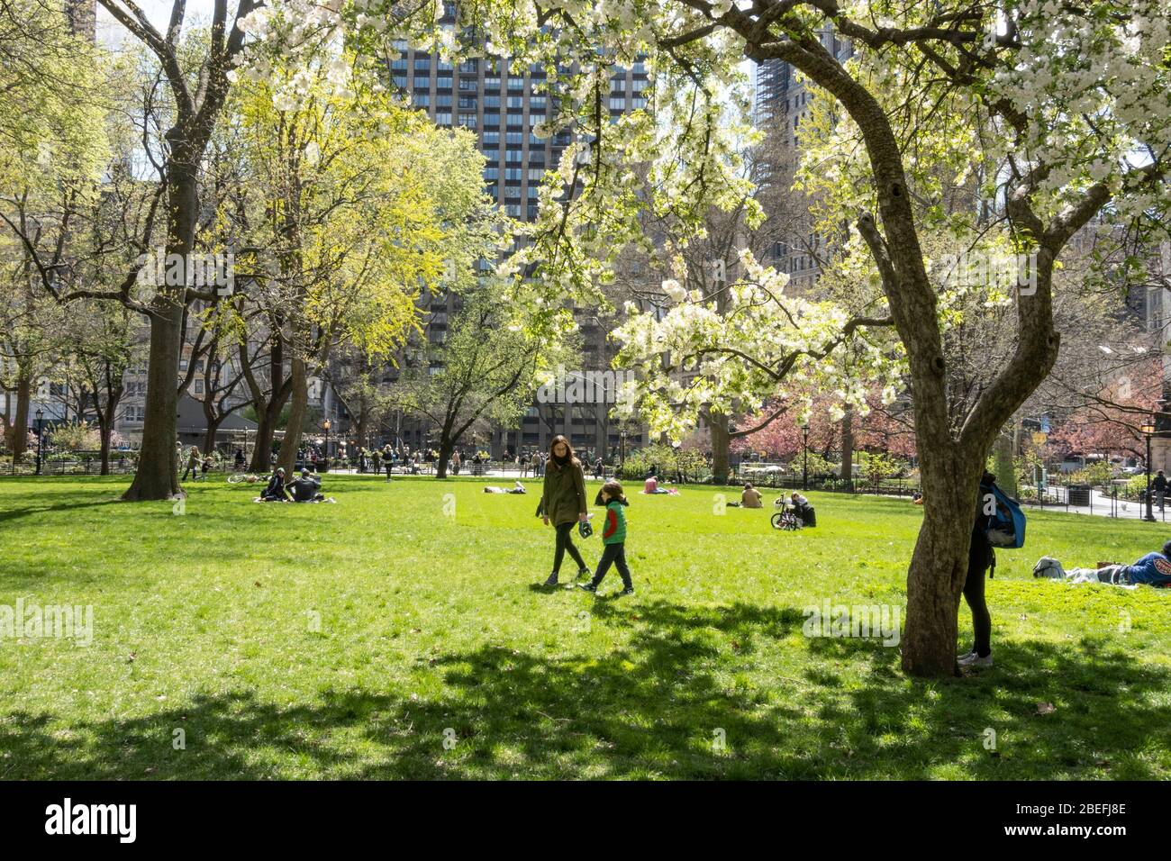 Springtime madison square park nyc hi-res stock photography and images ...