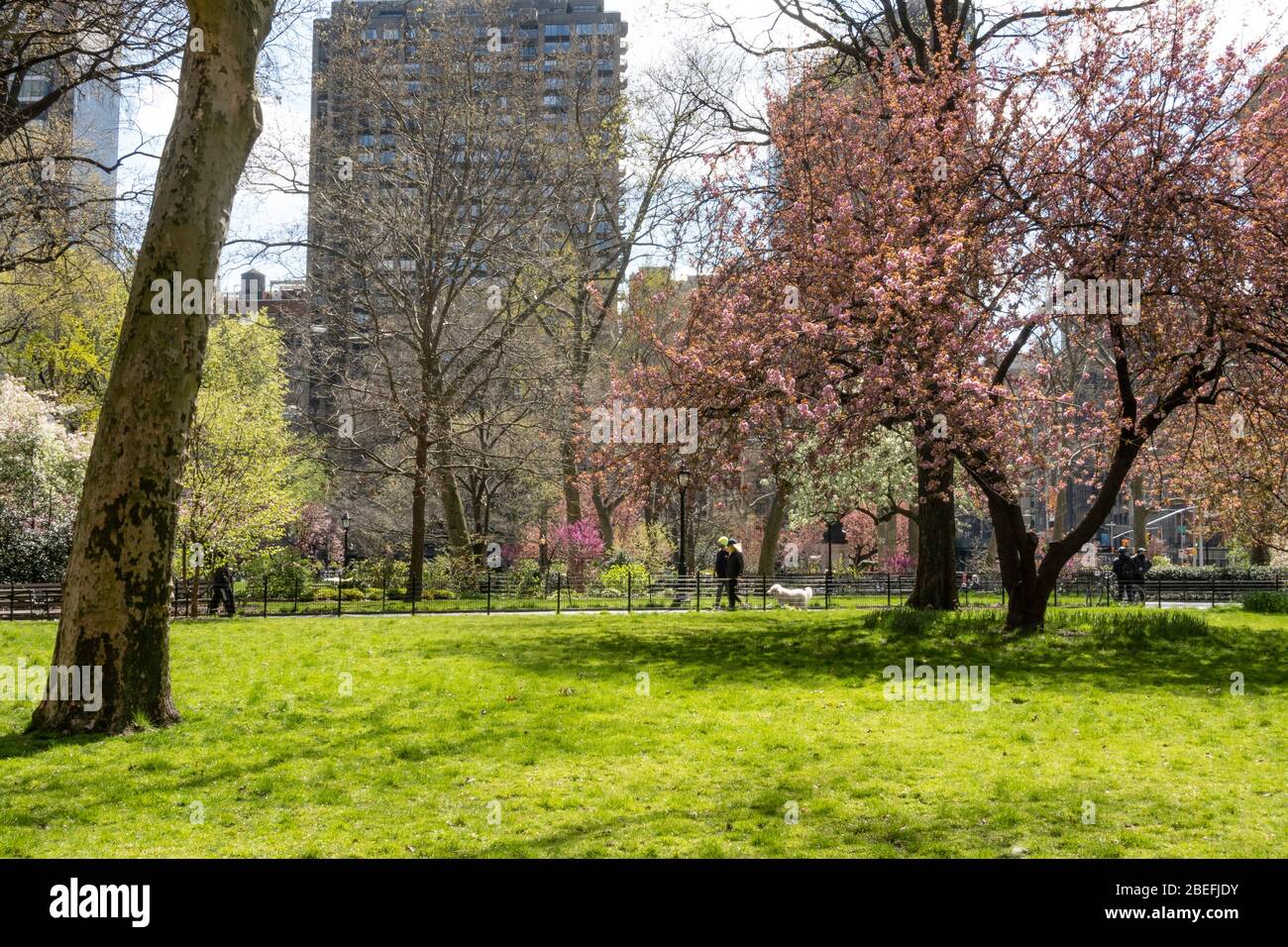 Springtime madison square park nyc hi-res stock photography and images ...