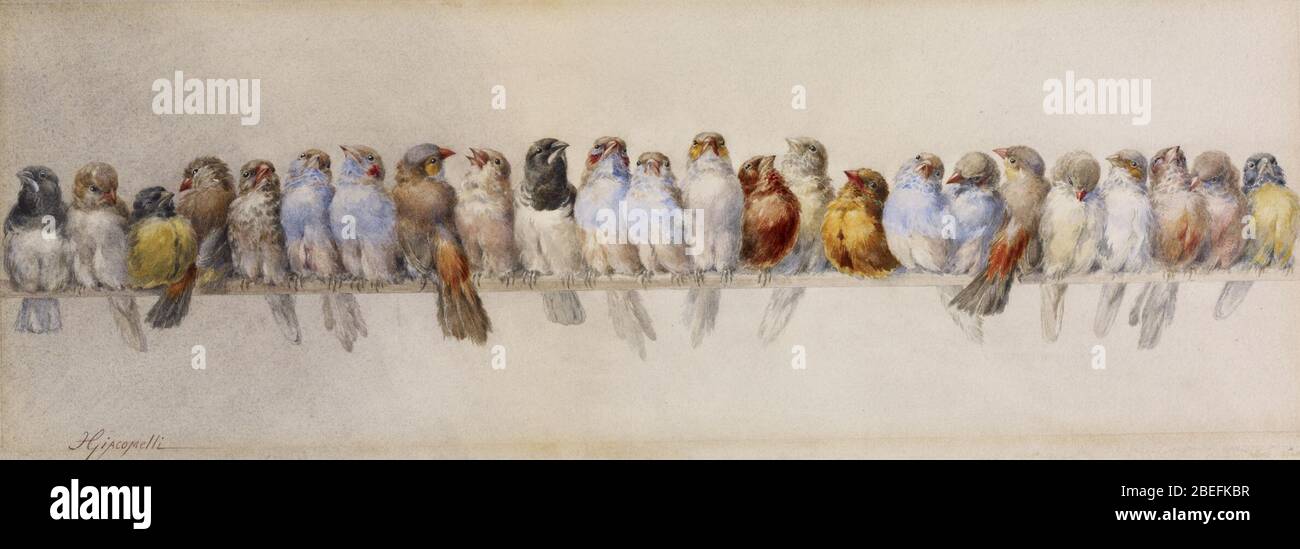 Hector Giacomelli - A Perch of Birds Stock Photo - Alamy