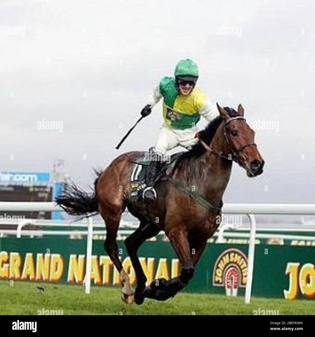 Hedgehunter hi-res stock photography and images - Alamy