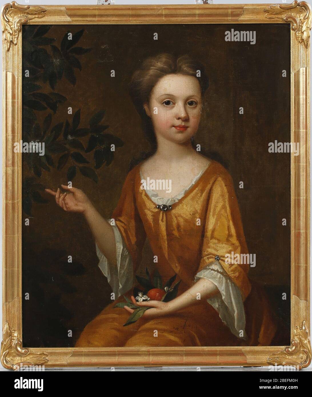 Rappe hi-res stock photography and images - Alamy