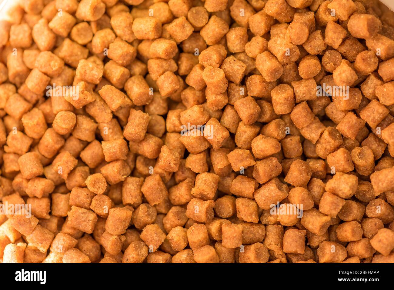 Floating Fish Feed Pellet Stock Photo - Alamy
