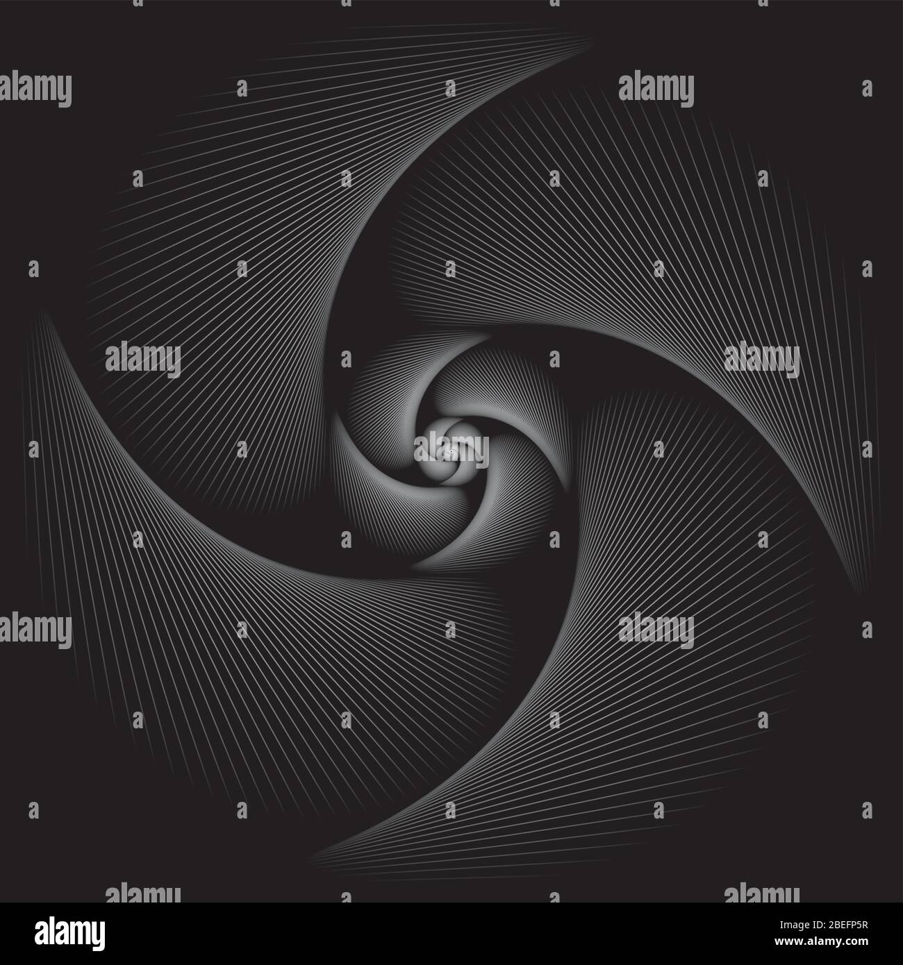 Magical white rose shape vector image on black background Stock Vector ...