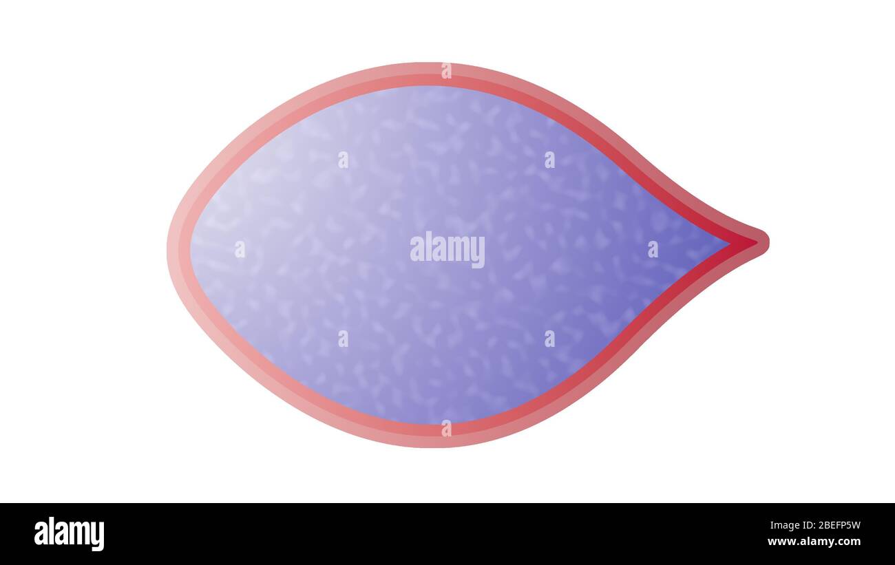 Strange shape simple Cut Out Stock Images & Pictures - Alamy