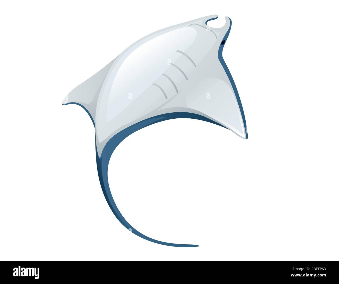 Manta ray underwater giant animal with wings simple cartoon character ...