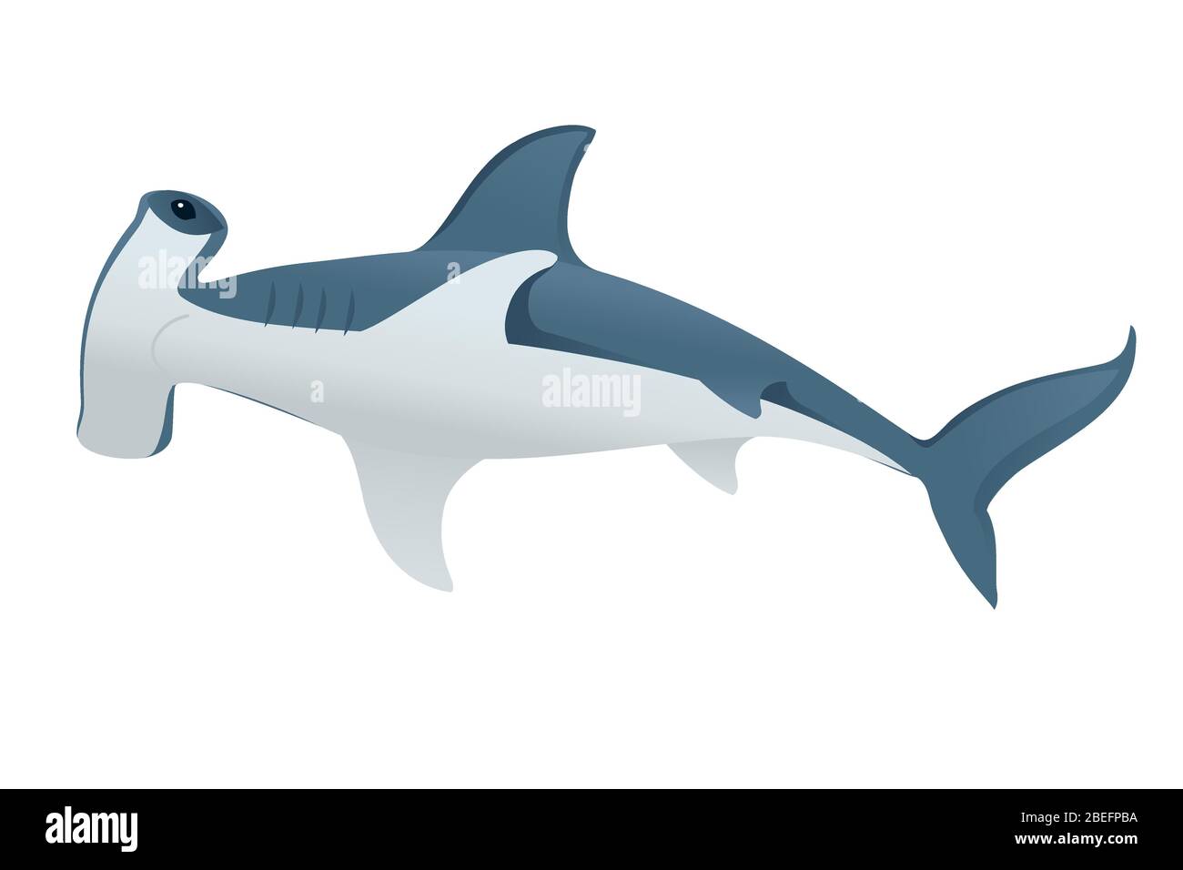 Hammerhead shark underwater giant animal simple cartoon character ...
