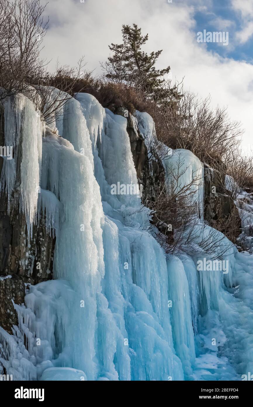 Cold seep ocean hi-res stock photography and images - Alamy