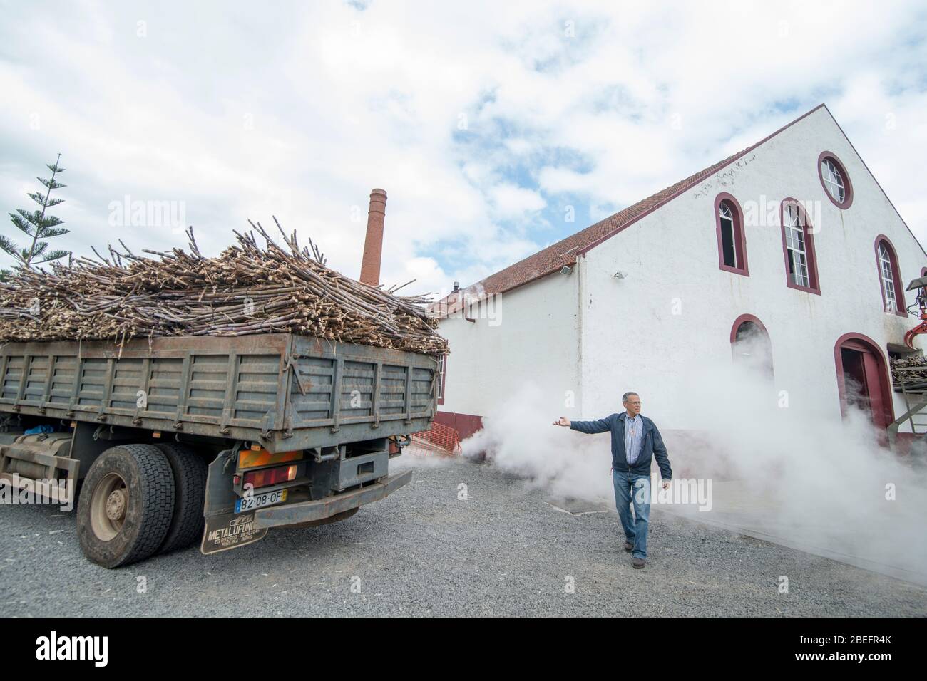 sugar cane at the Rum Factory in Porto da Cruz on the coast at east ...