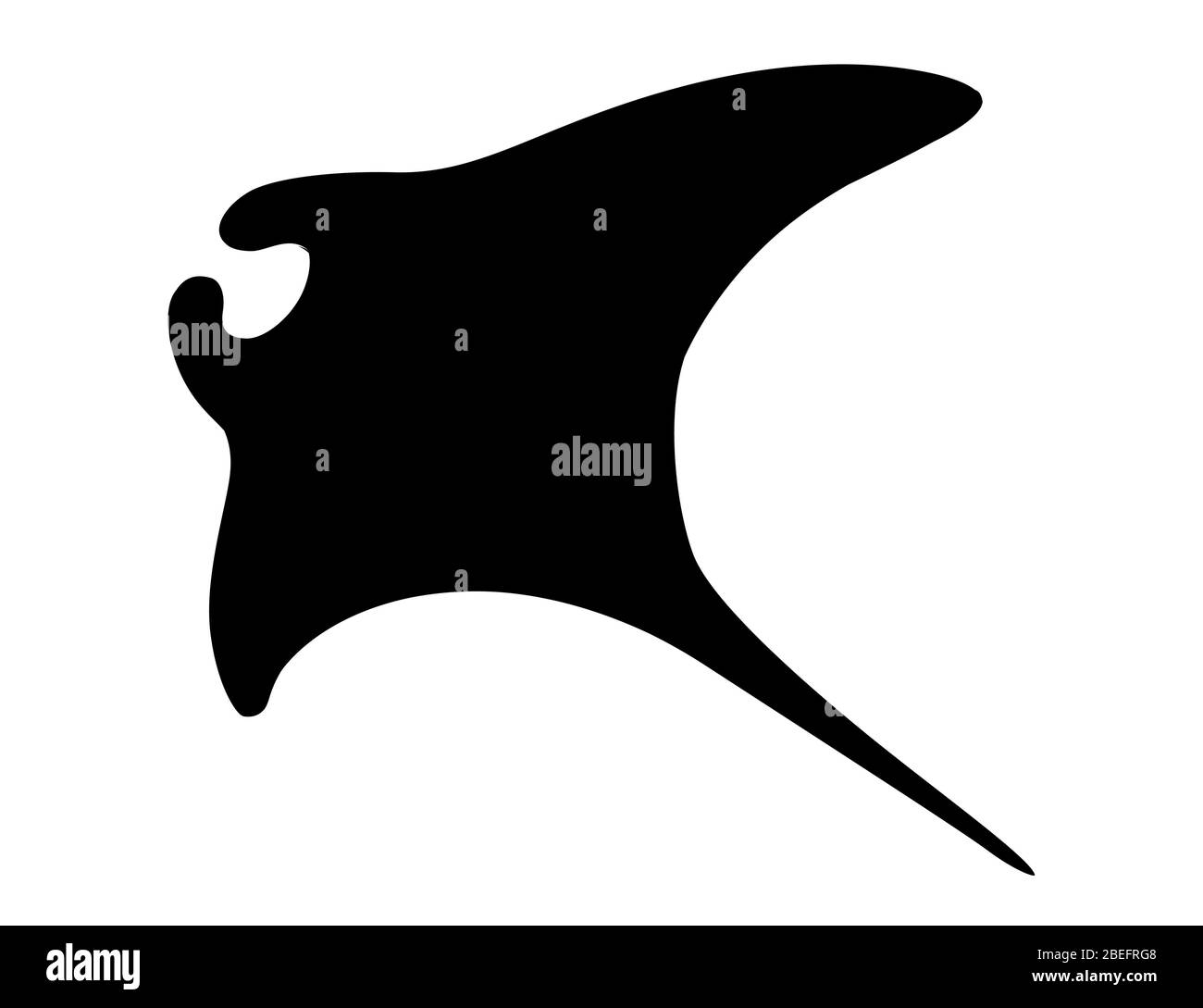 Black silhouette manta ray underwater giant animal with wings simple ...