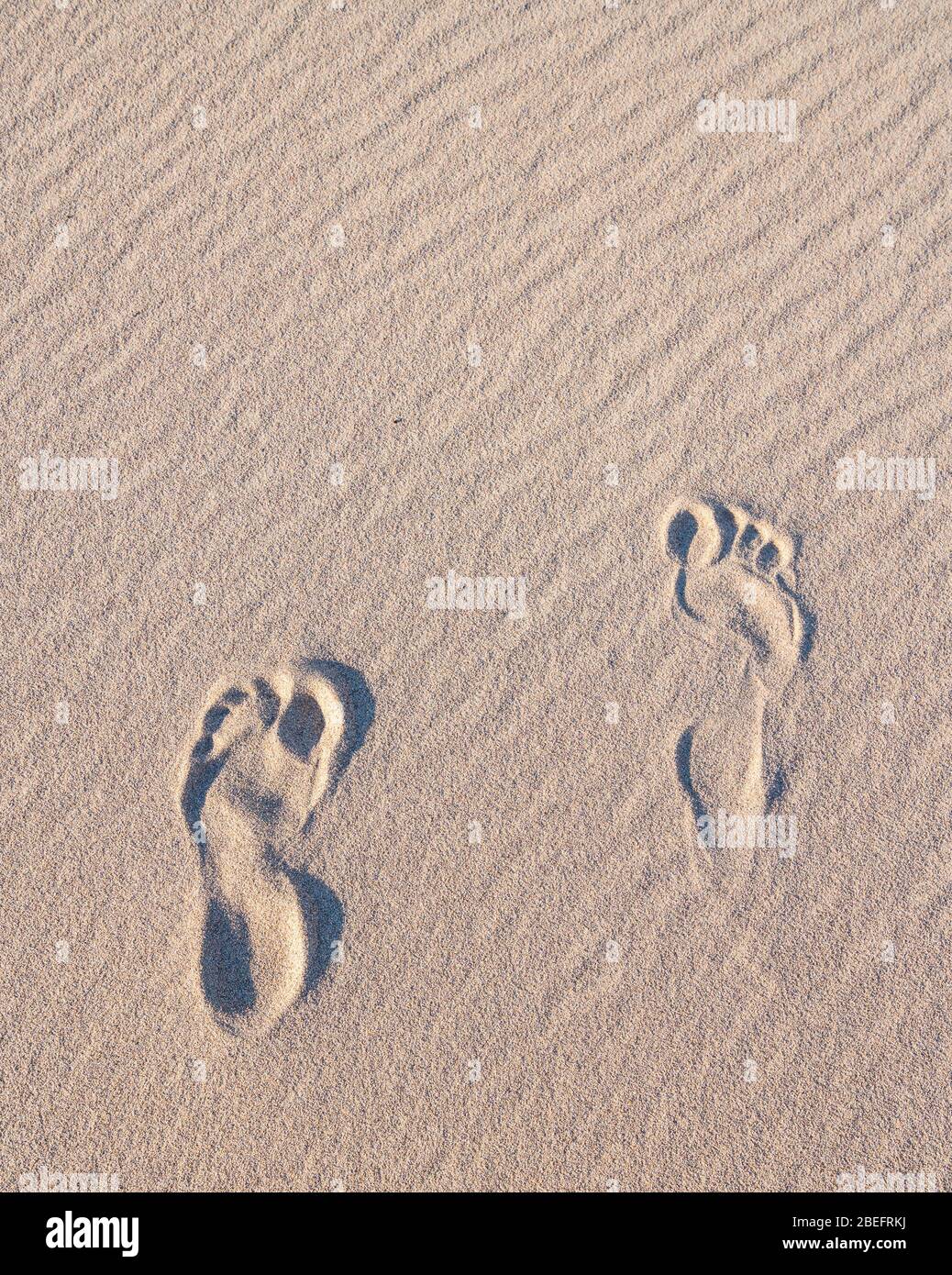 foot print in sand dunes Stock Photo - Alamy