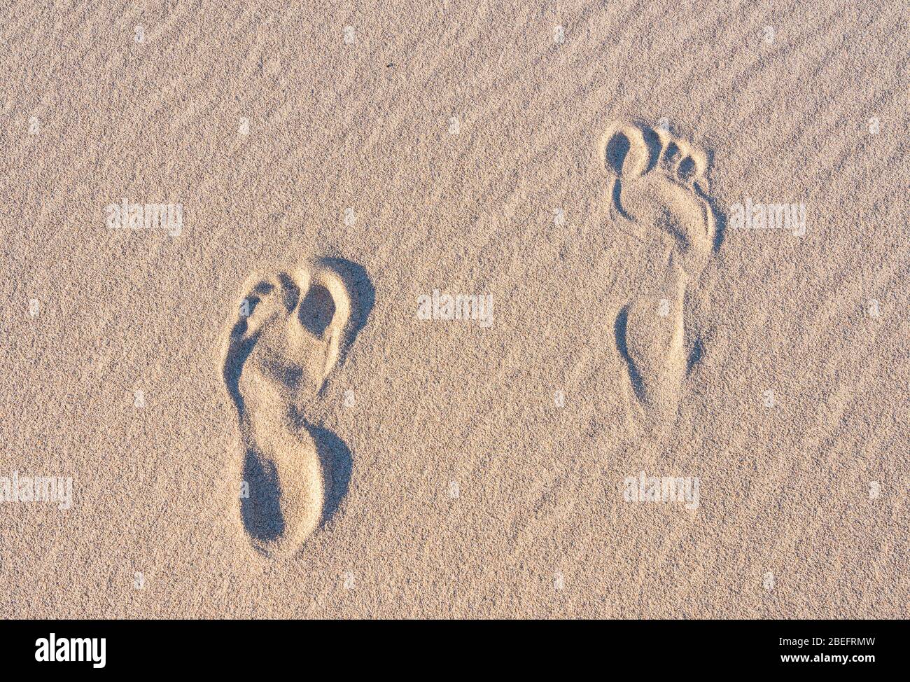 foot print in sand dunes Stock Photo - Alamy
