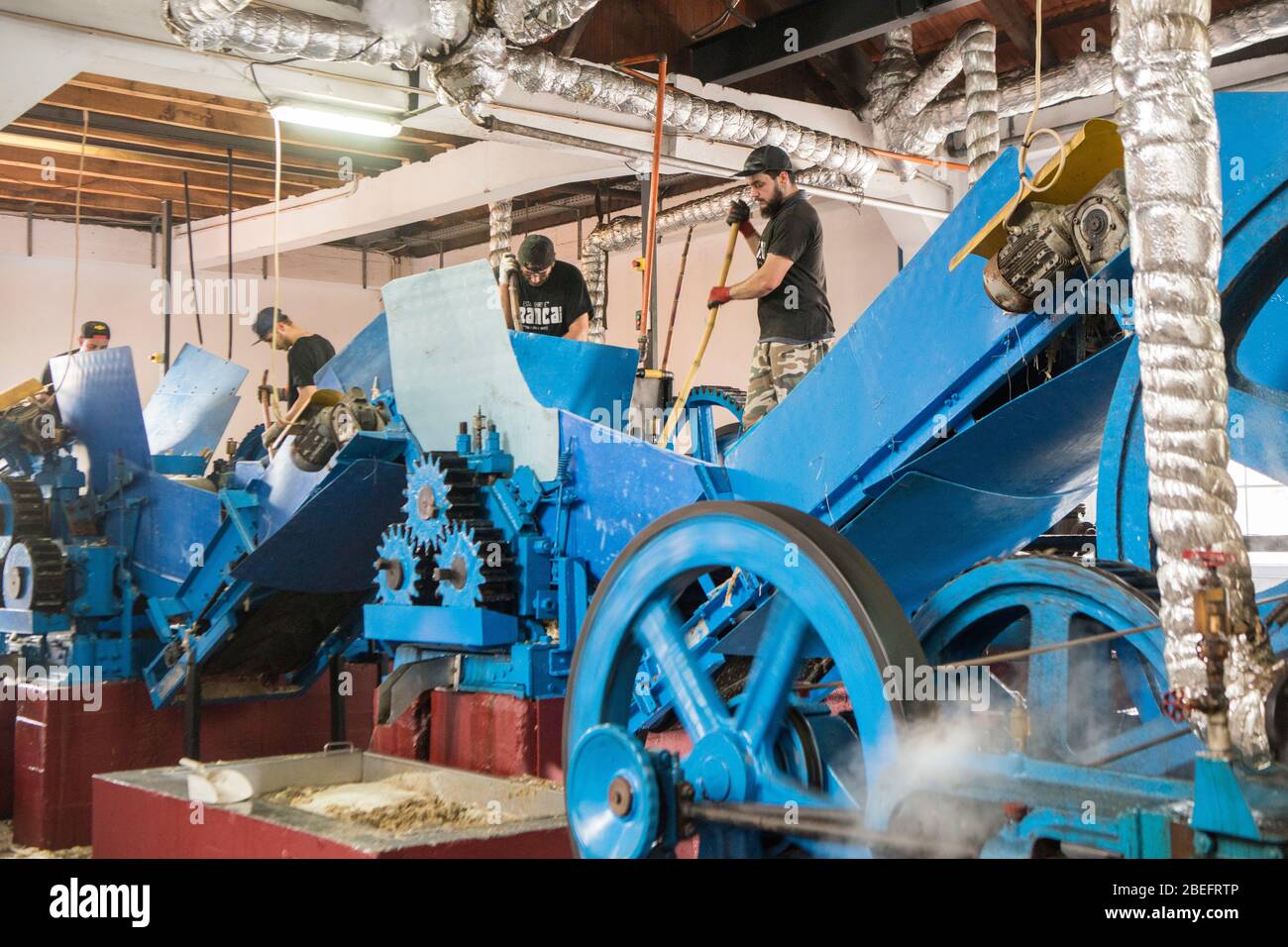 Rum factory museum madeira island hi-res stock photography and images ...