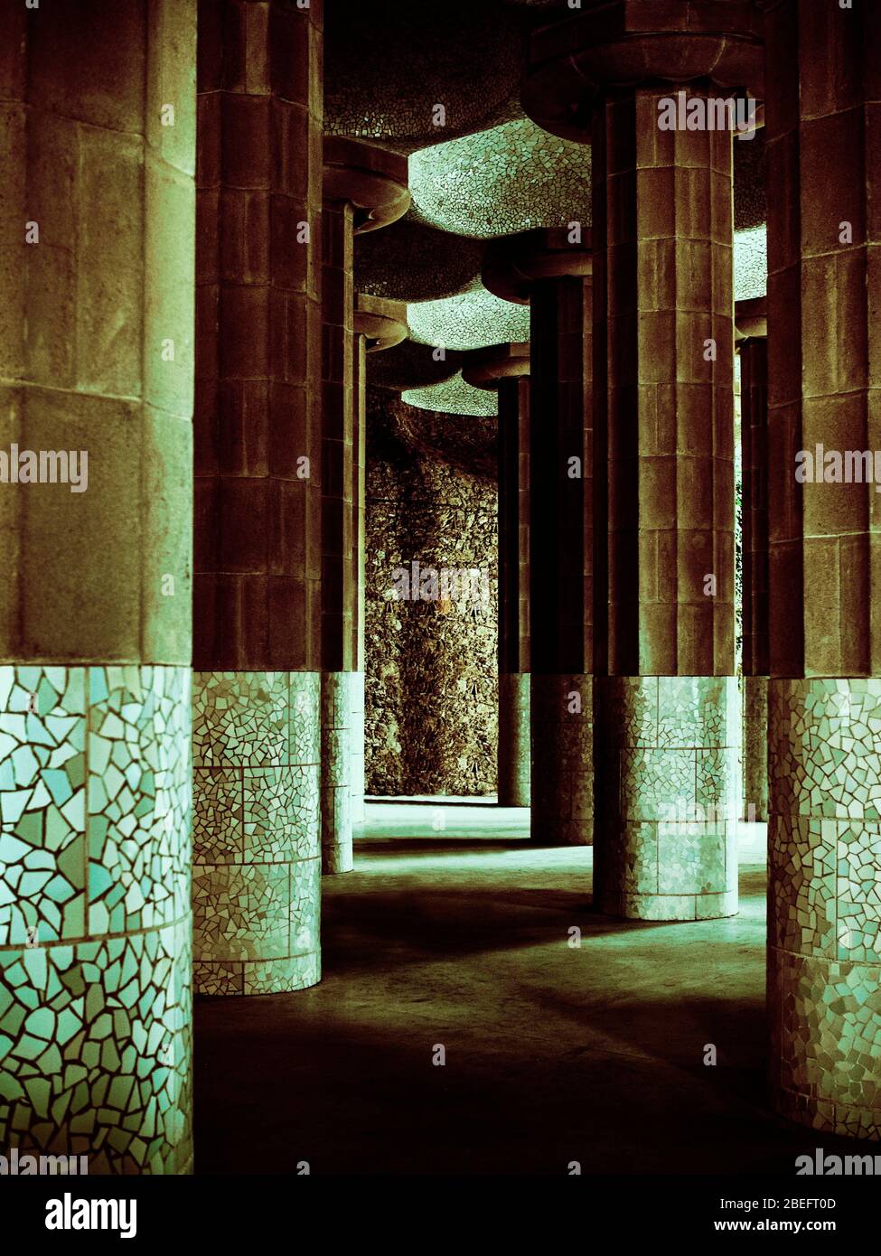 Hipostila hi-res stock photography and images - Alamy