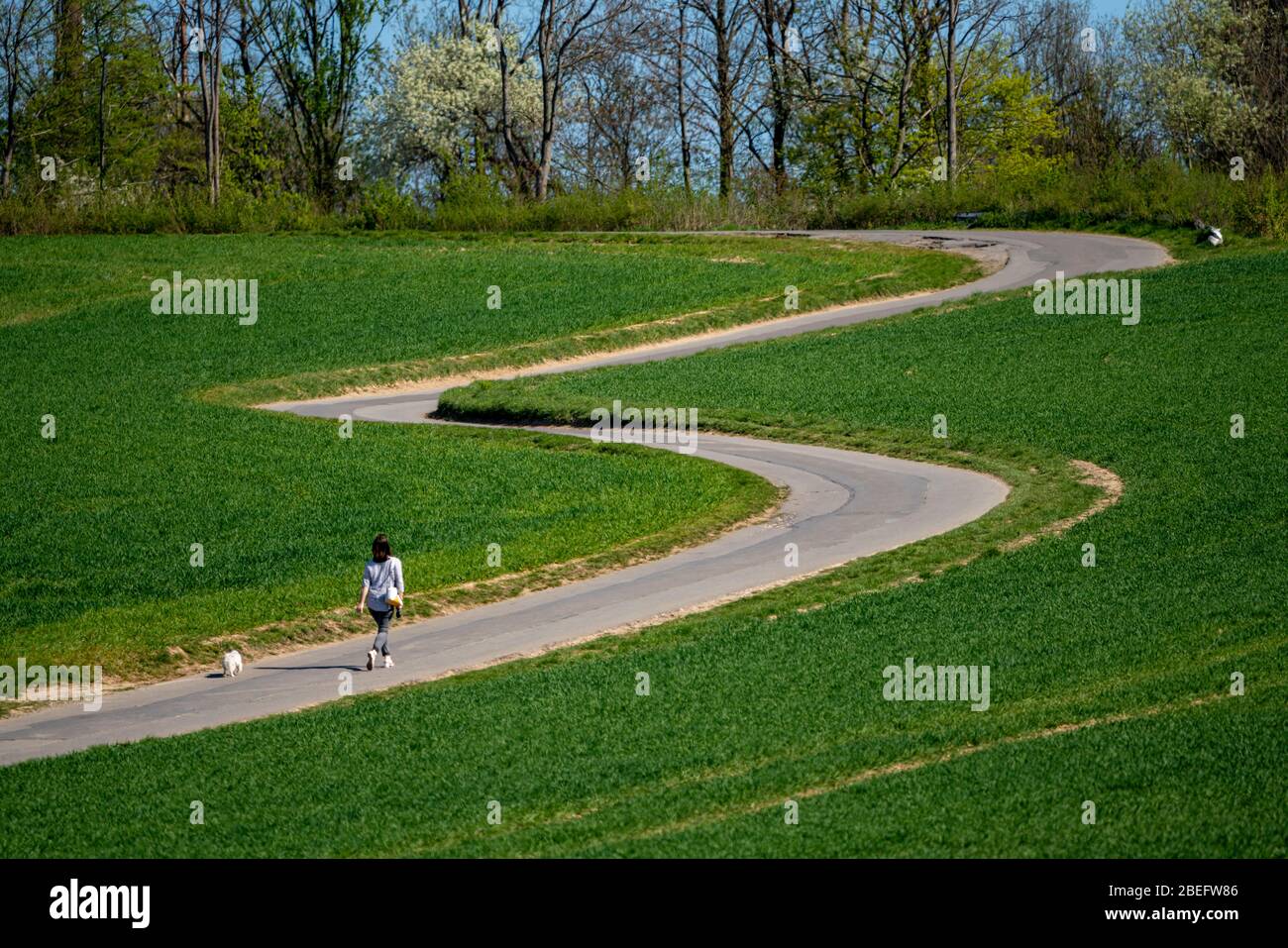 Landscape between Essen and MŸlheim an der Ruhr, fields in spring, walk ...