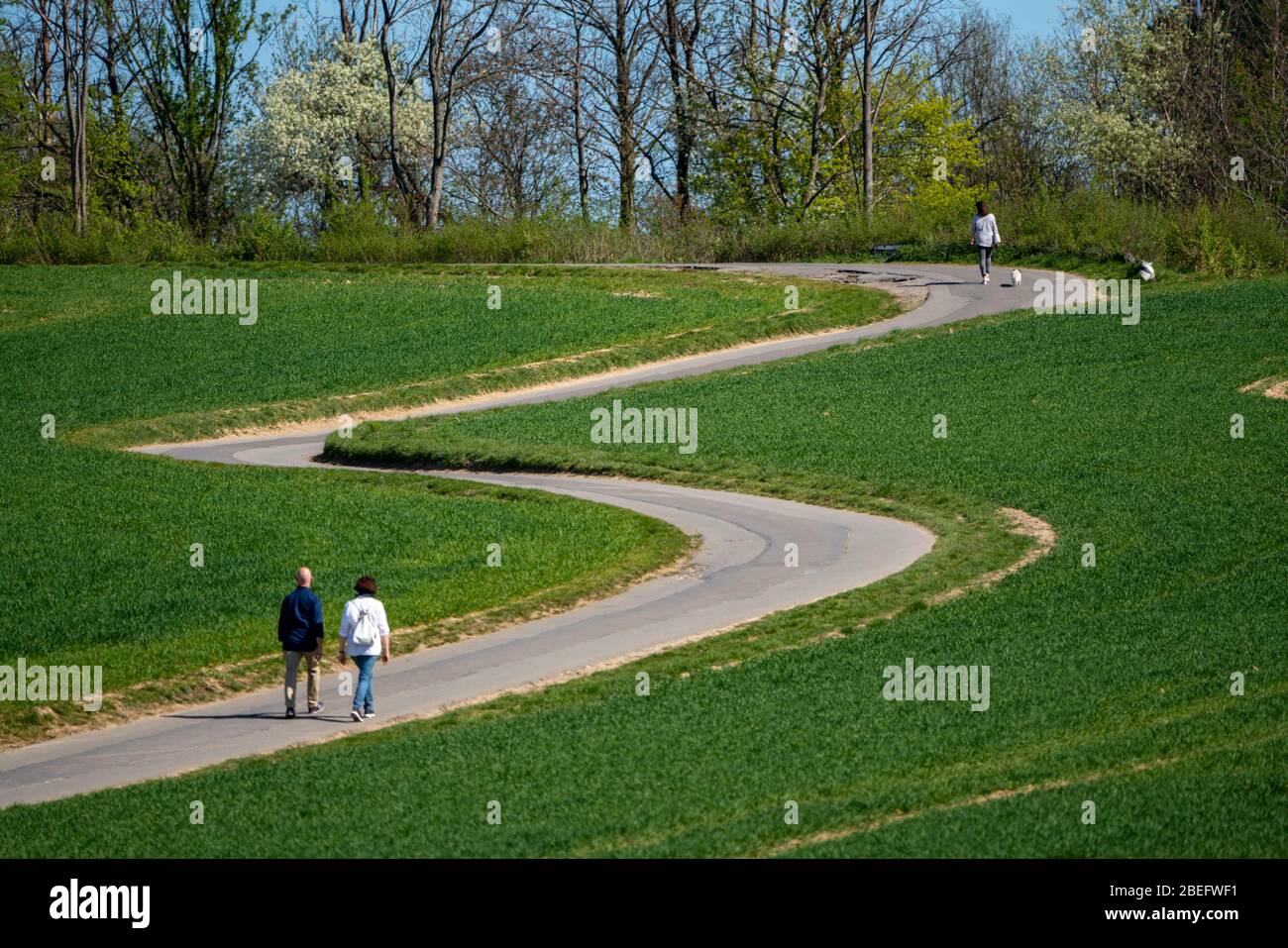 Landscape between Essen and MŸlheim an der Ruhr, fields in spring, walk ...