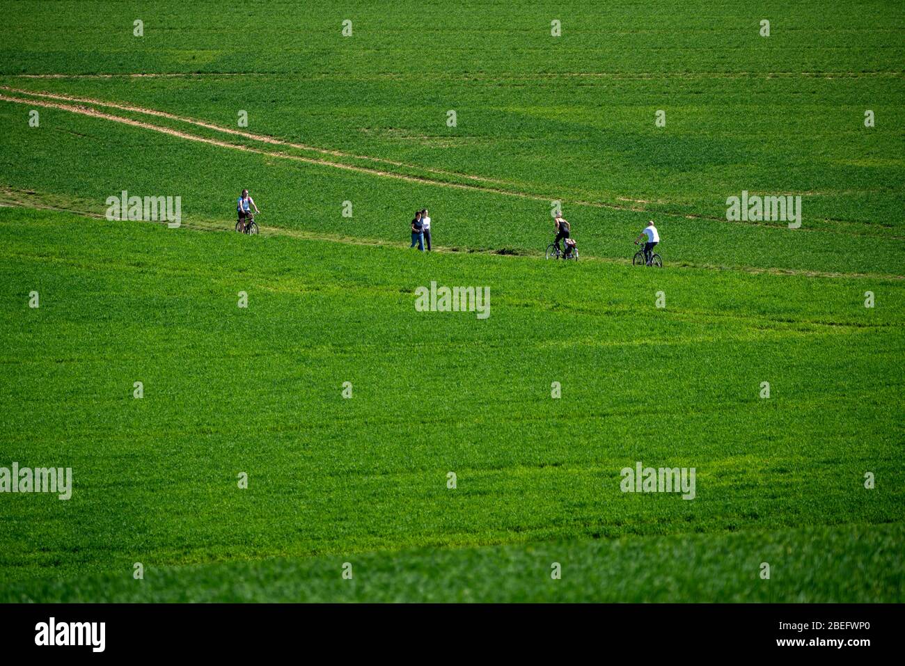 Landscape between Essen and MŸlheim an der Ruhr, fields in spring ...