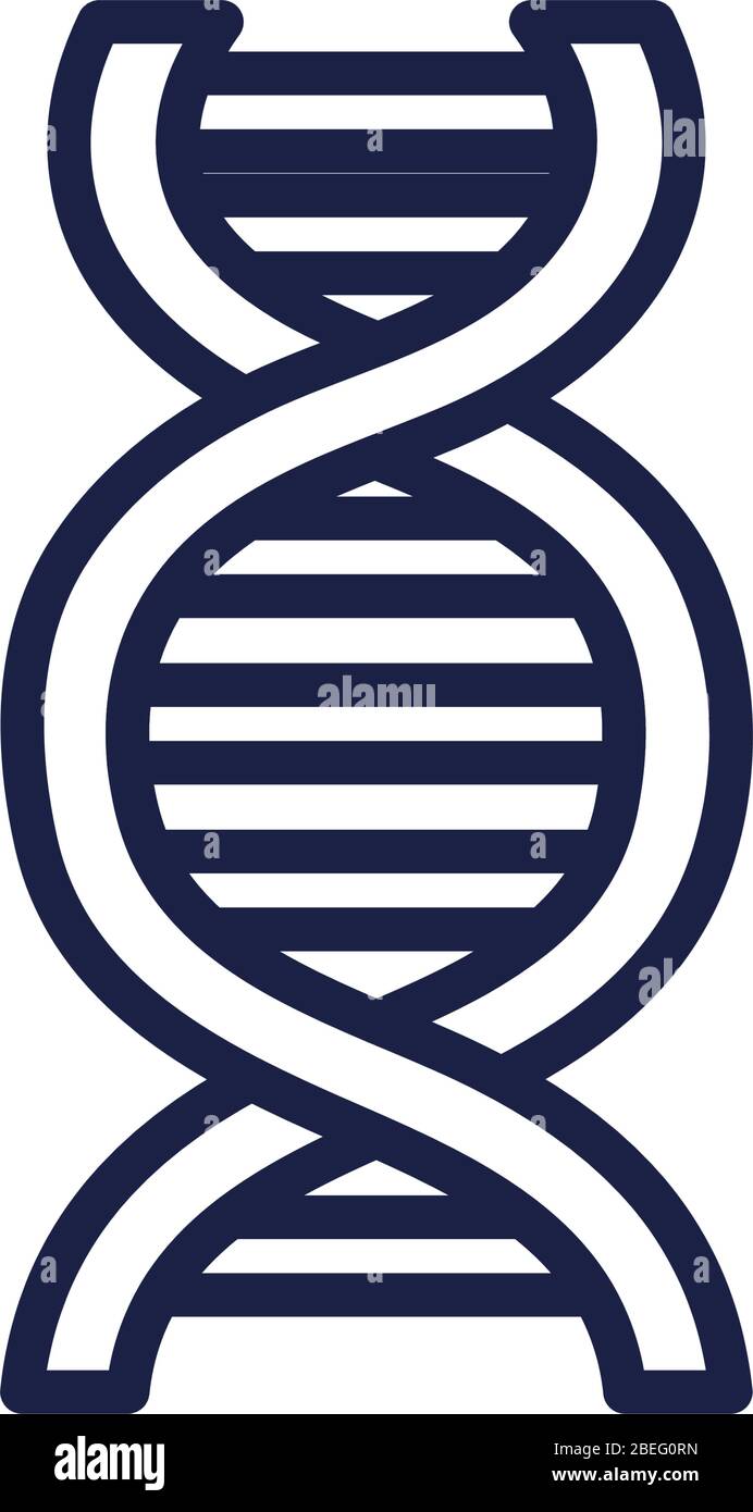 DNA chain icon over white background, line style, vector illustration ...