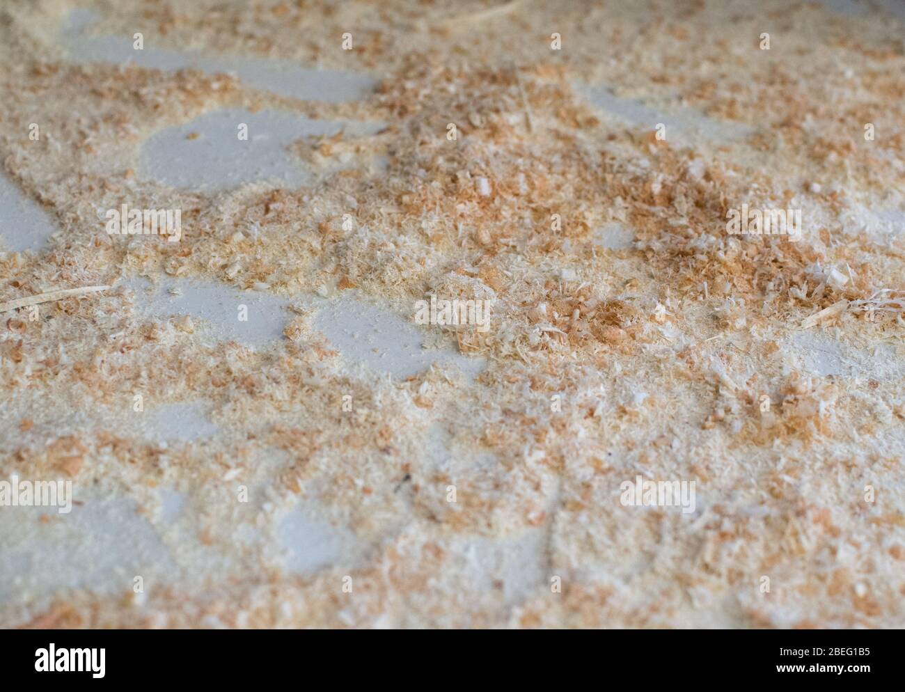 Fresh sawdust laying on a white workbench Stock Photo - Alamy