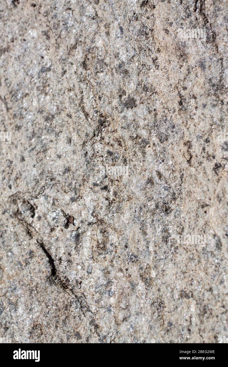 Natural slate stone texture photography close up Stock Photo - Alamy