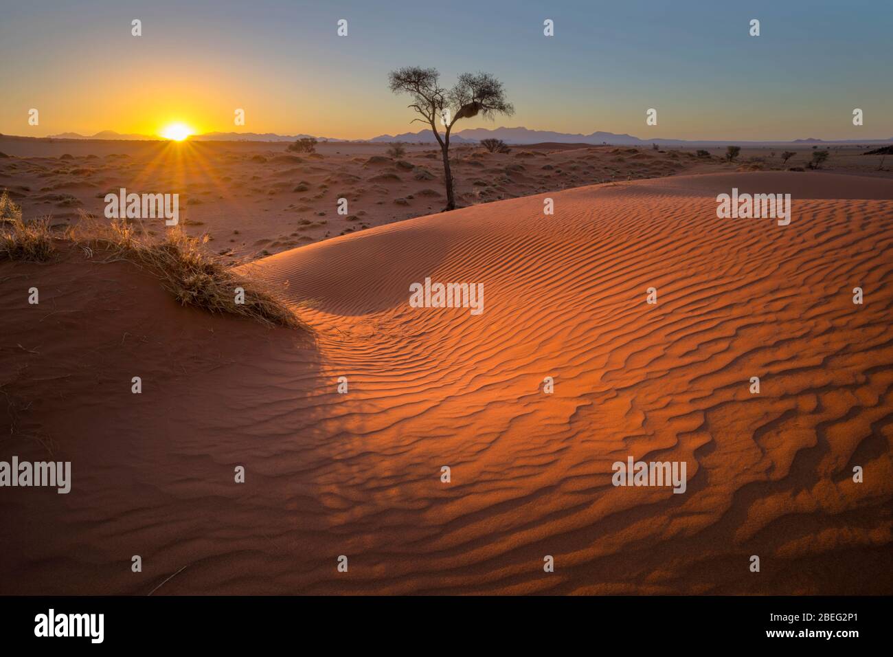 Sunset light on wind patterns in the sand Stock Photo - Alamy