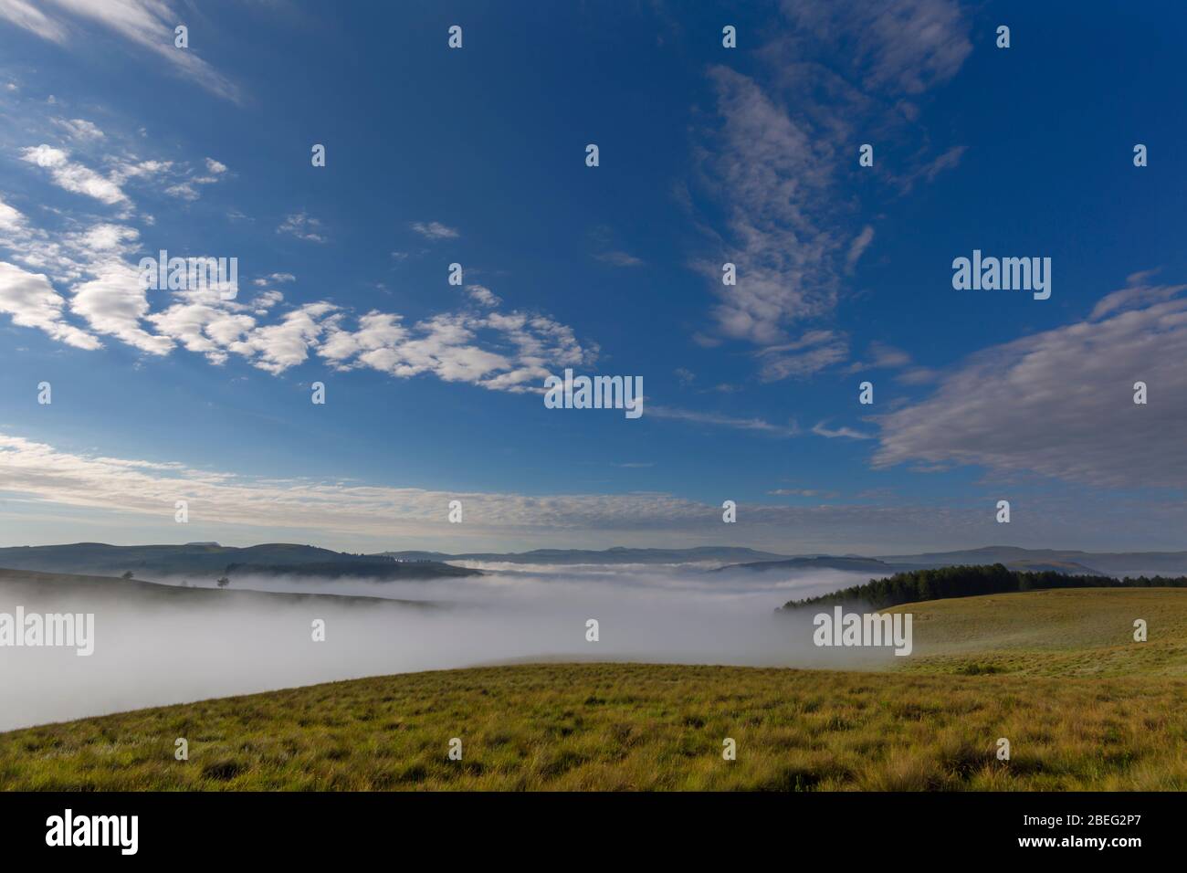 Mist in the valley Stock Photo - Alamy