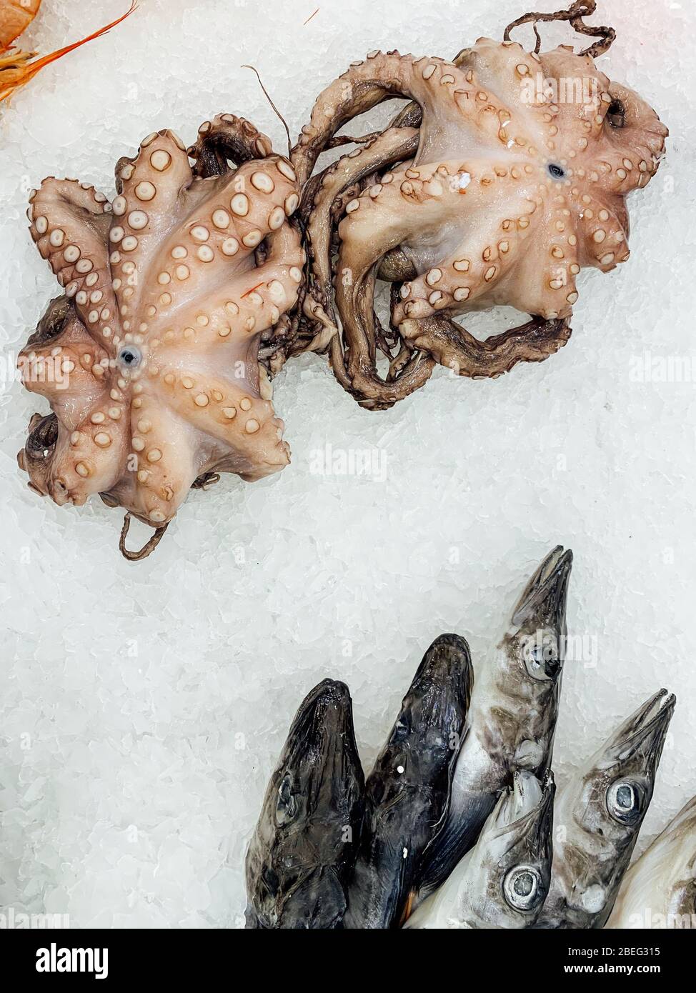 fresh seafood fish for cooking background food Stock Photo - Alamy