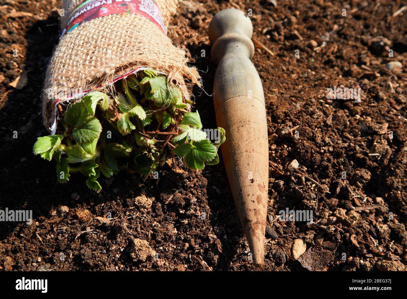 Cultivation instructions hi-res stock photography and images - Alamy