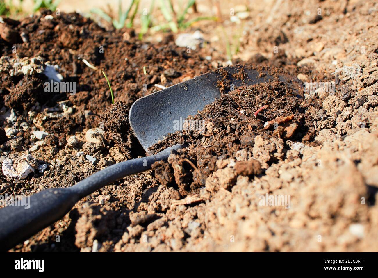 garden trowel and healthy dirt in an organic garden Stock Photo - Alamy