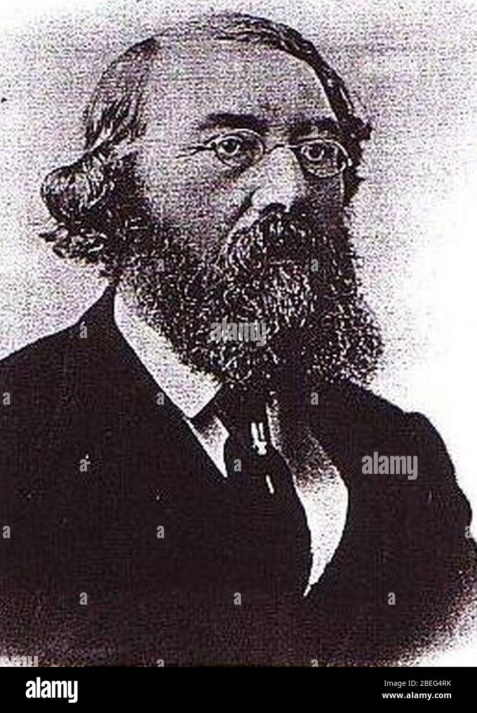 Von nathusius hi-res stock photography and images - Alamy