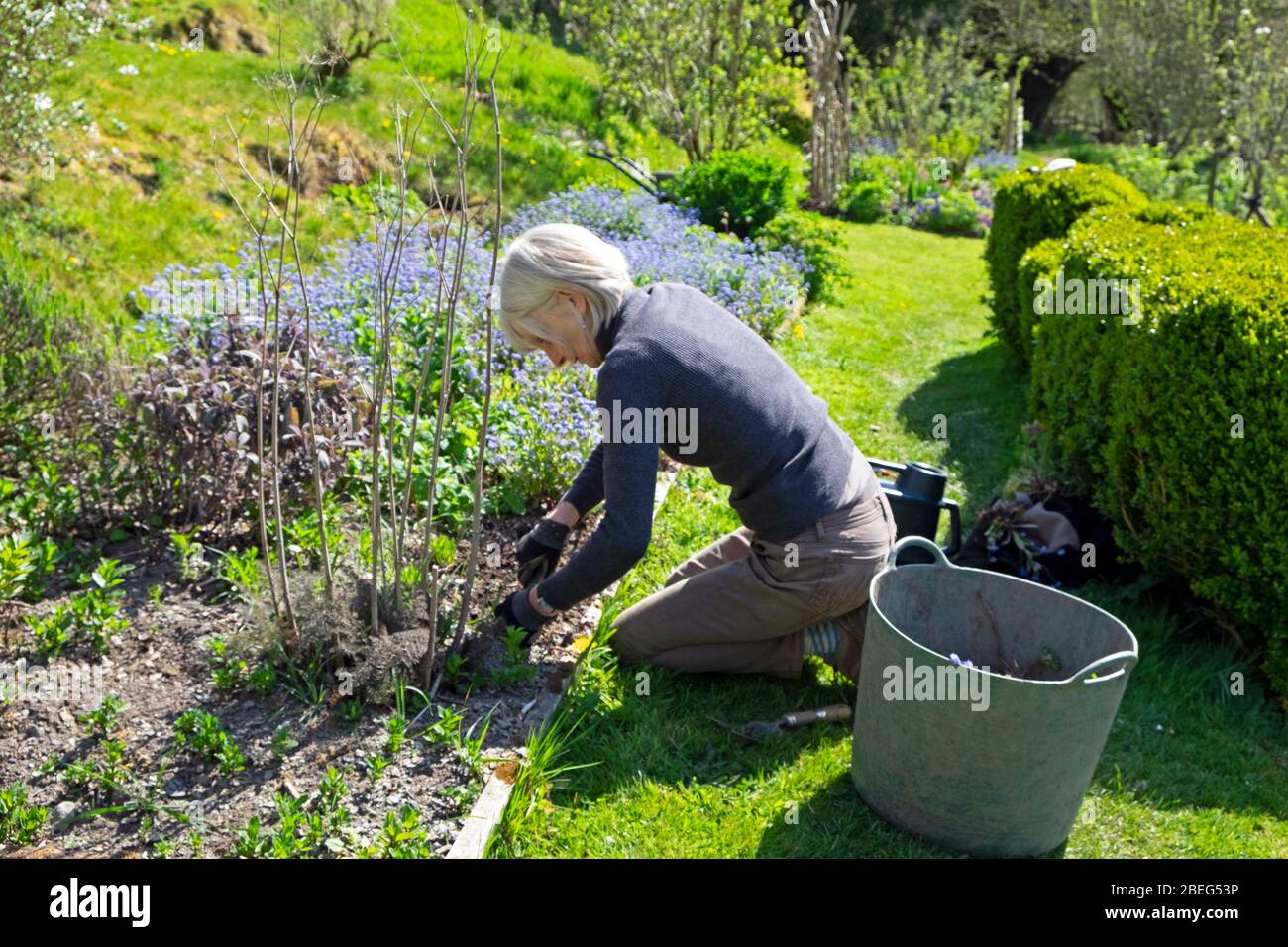 Dig up plants hi-res stock photography and images - Alamy