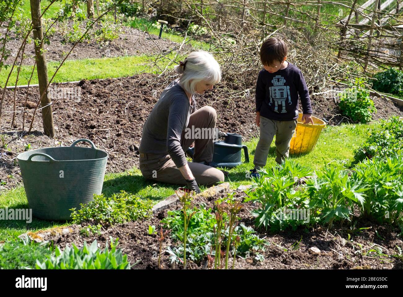 Boy weeding garden weeds hi-res stock photography and images - Alamy