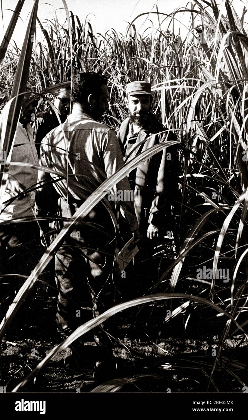 Cuban leader FIDEL CASTRO Stock Photo - Alamy