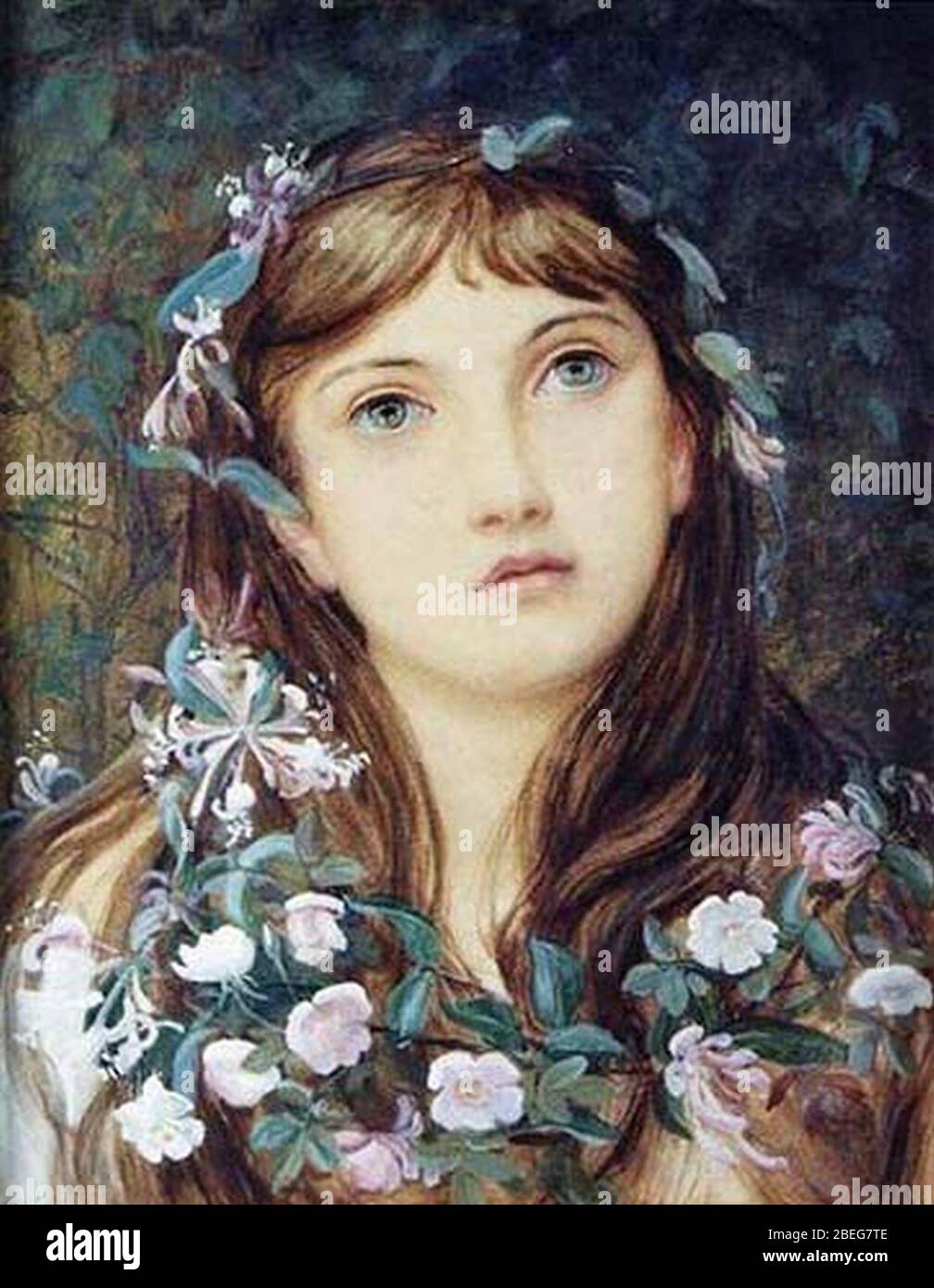 Roses honeysuckle hi-res stock photography and images - Alamy