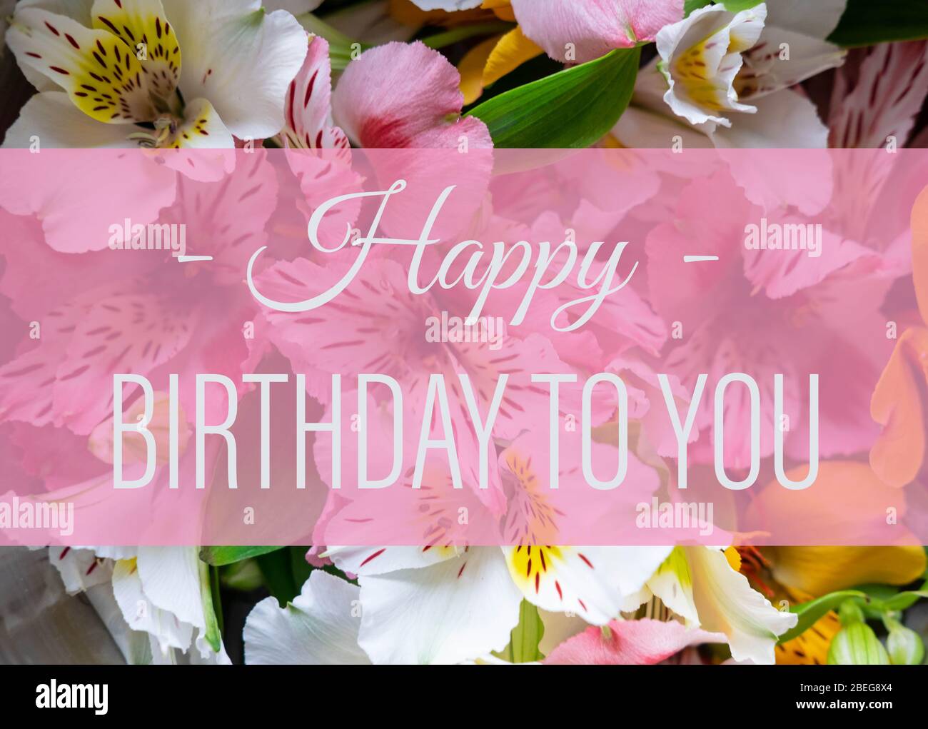 Bright happy birthday greeting card. Light birthday card with natural ...